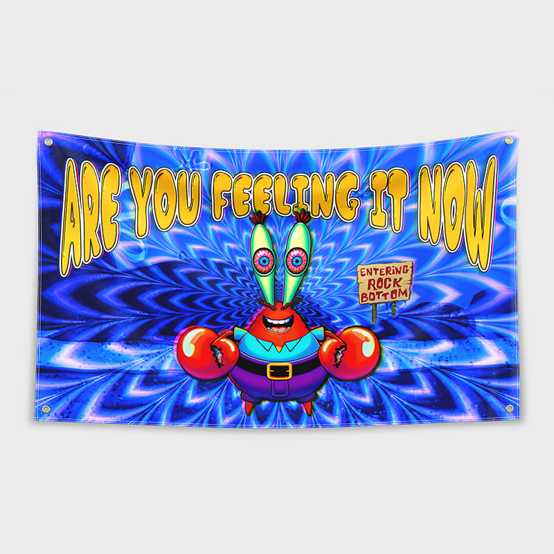 Hype Flags - Are You Feeling It Flag | Mr Krabs Tapestry – HypeFlags